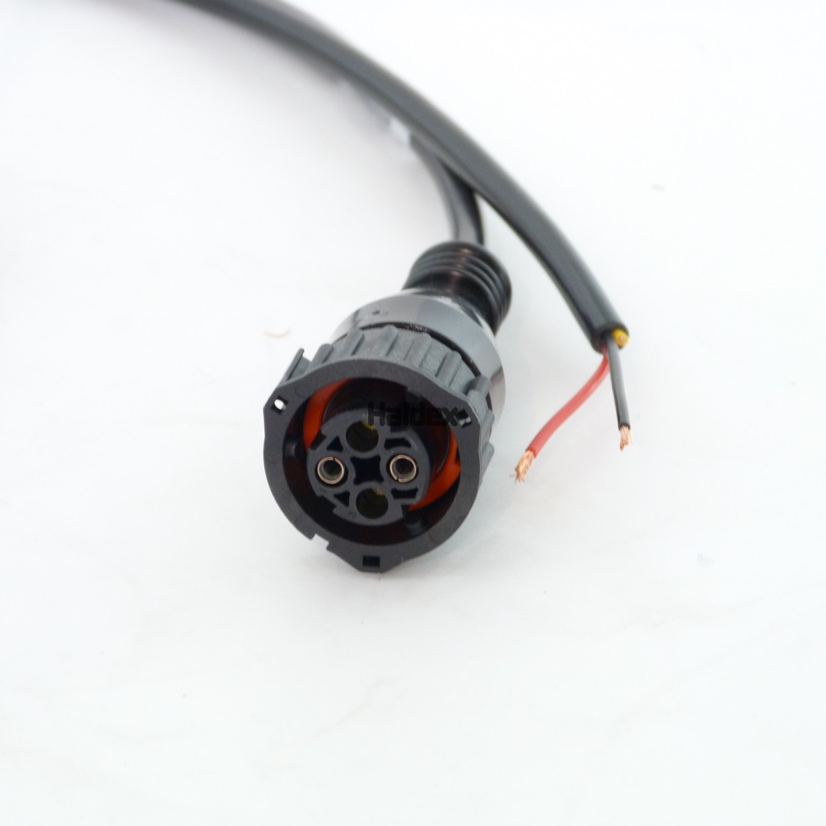 EBS cables, looms, plugs & sockets